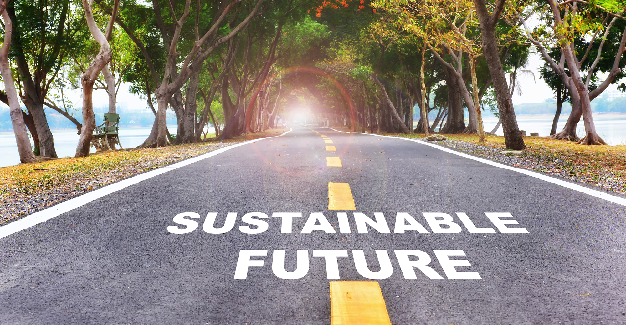 Understanding the Global Reporting Frameworks | IFC Beyond the Balance ...